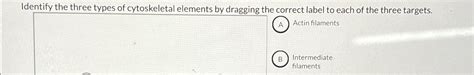 Solved Identify The Three Types Of Cytoskeletal Elements By