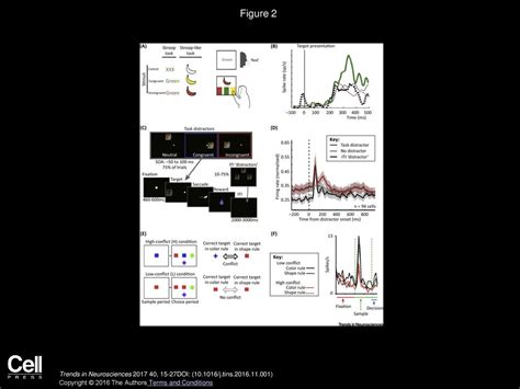 Farshad A Mansouri Tobias Egner Mark J Buckley Ppt Download