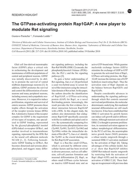 Pdf The Gtpase Activating Protein Rap1gap A New Player To Modulate