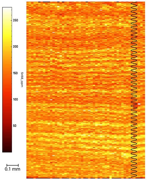 Quadrupole Icp Ms Lab