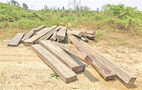 သတင်းပေးတိုင်ကြားမှုများကြောင့် တရားမဝင်ကုန်စည်များနှင့် အဆိုပါကုန်စည်မ