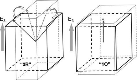 Extensional Piezoelectric Response And Related Polarization Rotation Download Scientific