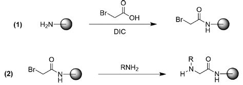 Automated Synthesis Of Peptoids And Peptoid Peptide Hybrids