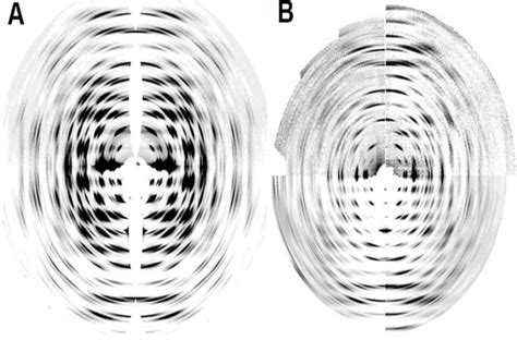 A Synchrotron X Ray Diffraction Data Collected On An Online Mar Image Download Scientific