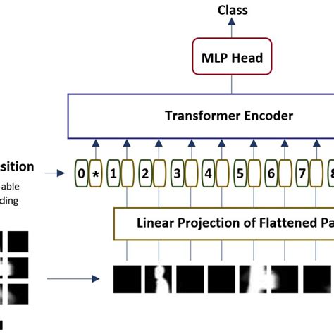 Architecture Of The Proposed Gait Vit Method Download Scientific Diagram