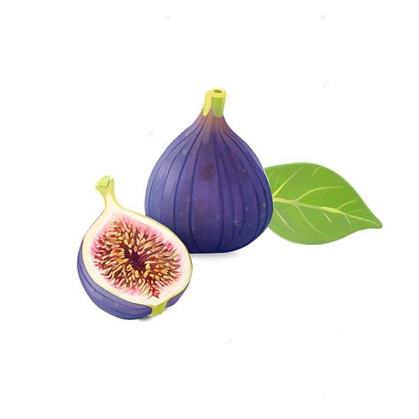 Download Fig Inspired Wallpaper Png 98