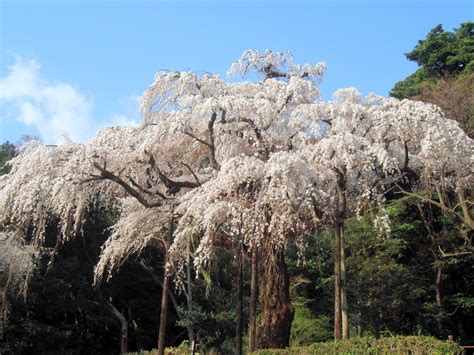 長興山 紹太寺 観光 エリア情報 かながわシープロジェクト Feel SHONAN