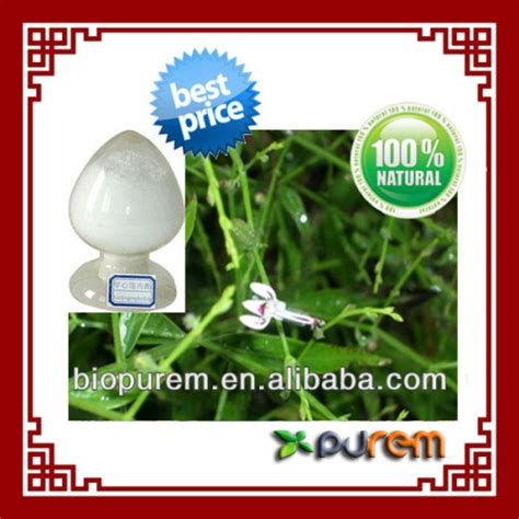 Andrographis Paniculata Extract High Quality Andrographis Paniculata