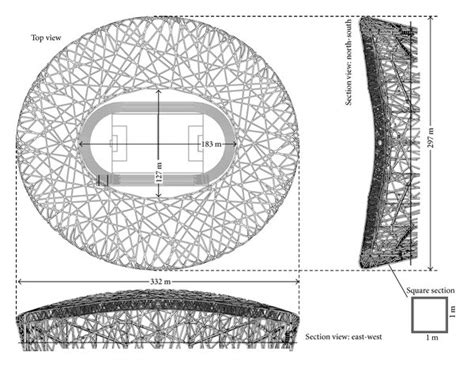 Structural View Of “birds Nest” Download Scientific Diagram