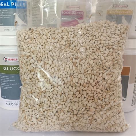 Safflower Seeds Repacked In 250 Grams 500 Grams 1 Kilo Saff Flower
