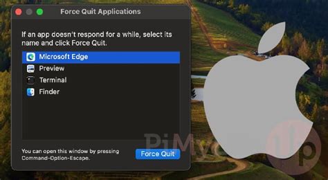 How To Force Quit An App On Macos Pi My Life Up
