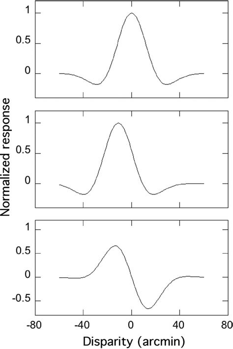 Summary Of Performance Skew For Symmetric And Asymmetric Distributions Download Scientific