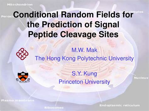 Ppt Conditional Random Fields For The Prediction Of Signal Peptide