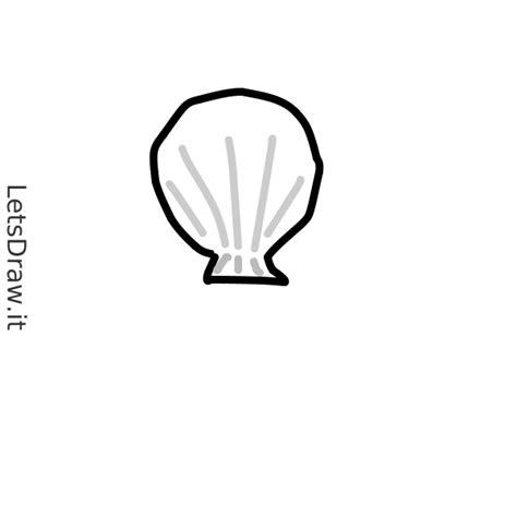How To Draw Seashell 488umhbhe Png LetsDrawIt