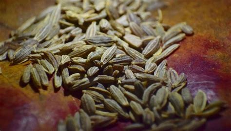 Best White Bass Lures The Complete Guide Lures Finns Fishing Tips