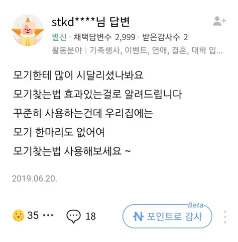 모기 잡는 법 지식인 댓글 인스티즈 Instiz 이슈 카테고리