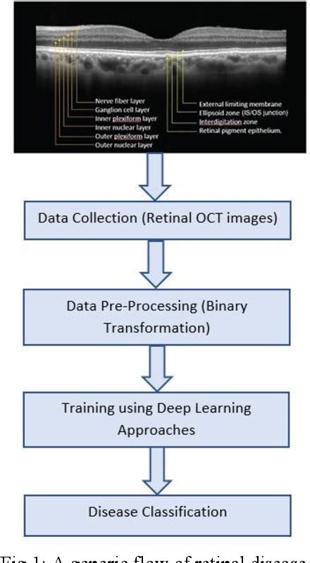 Figure 1 From A Comparative Analysis Of Retinal Disease Image Classification For Oct Using Deep