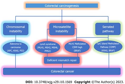 Xeloda Treatment For Metastatic Colorectal Cancer Drug Does