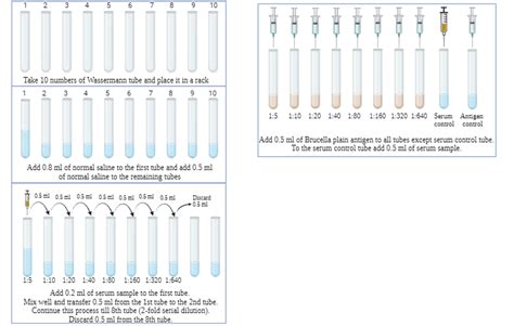 Brucella Standard Tube Agglutination Test Biorender Science Templates