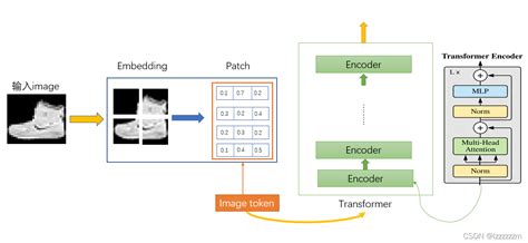 Visiontransformer（一）—— Embedding Patched与word Embedding及其实现vit Patch
