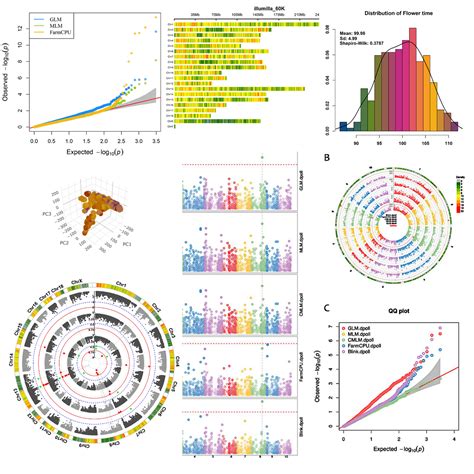Create Stunning “circular Bar Plots” In R Ggplot2 With Minimal Code By Allan Victor Medium