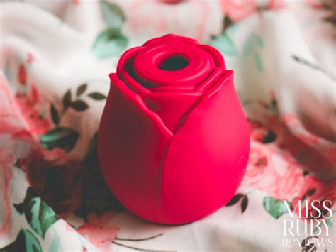 Review Tracys Dog Rosie Miss Ruby Reviews