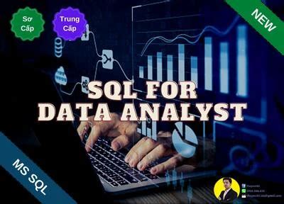 SQL for Data Analyst chương Học Data TSBI