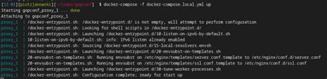 Utilize Nginx For Hosting A Golang Api With Aspire Systems