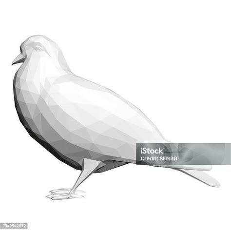 흰색 배경에 고립 된 회색 낮은 폴리 비둘기 3d 벡터 일러스트레이션 3차원 형태에 대한 스톡 벡터 아트 및 기타 이미지 3차원 형태 검은색 깃털 Istock