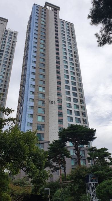 추천경매물건 서울 강남구 청담동 청담자이 101동 2603호 이투데이