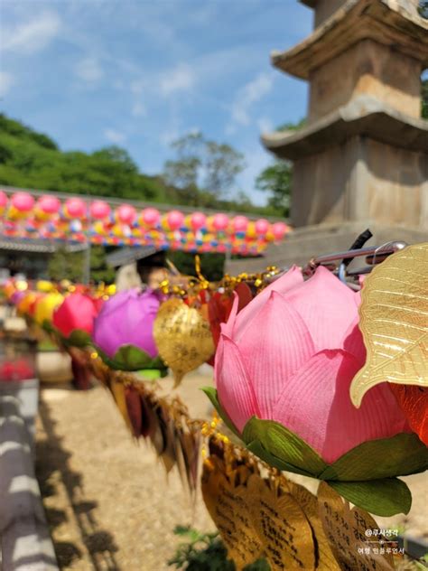 5월에 가볼만한곳 충남 공주 마곡사 볼거리 많은 천년고찰 여행 네이버 블로그