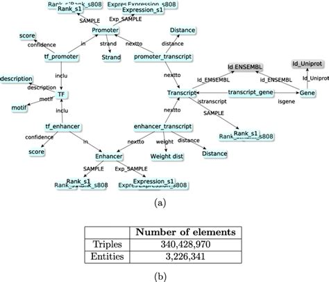A Graphical Representation Of The Structure Of The Biological Data