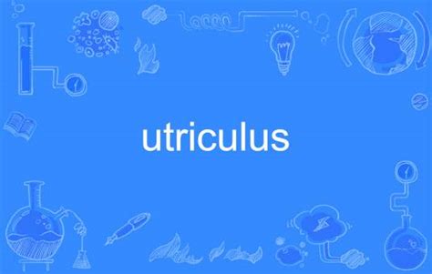 Utriculus百度百科