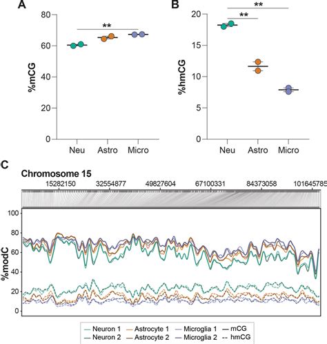 Native Detection Of Dna Modifications With Nanopore Long Read Download Scientific Diagram