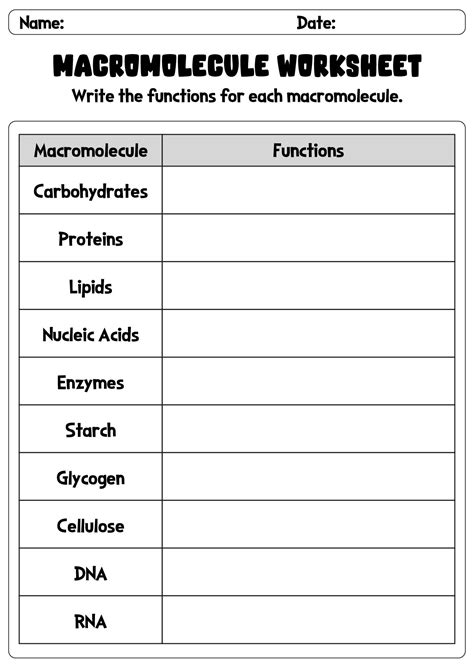Macromolecule Questions And Answers