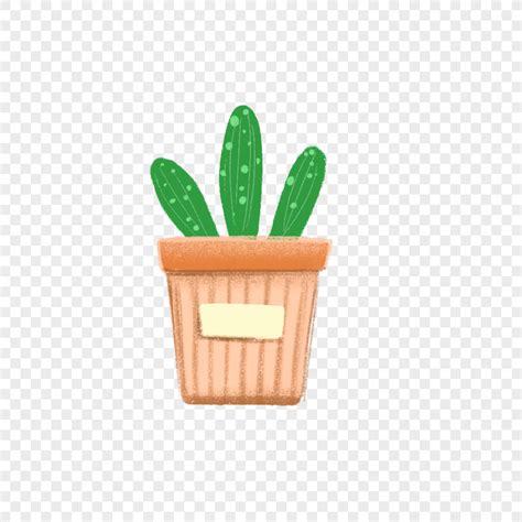 화분에 심은 선인장 Png 일러스트 무료 다운로드 Lovepik