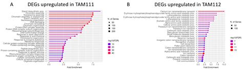 Transcriptome Analysis Of Developing Grains From Wheat Cultivars Tam 111 And Tam 112 Reveal