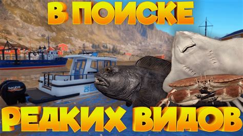 🦈 ИЩУ РЕДКИЕ ВИДЫ РЫБ В РР4 🐙 ФАРМ СЕРЕБРА НОРВЕЖСКОЕ МОРЕ 🦑 СТРИМ ...