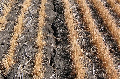 Soil Modules Documentation APSIM