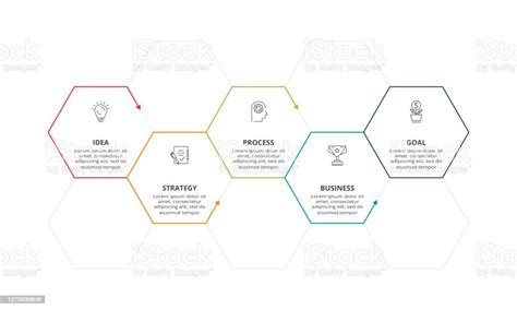인포그래픽용 씬 선 요소입니다 다이어그램 그래프 프레젠테이션 및 차트용 템플릿입니다 5 가지 옵션이있는 개념 0명에 대한 스톡 벡터 아트 및 기타 이미지 Istock