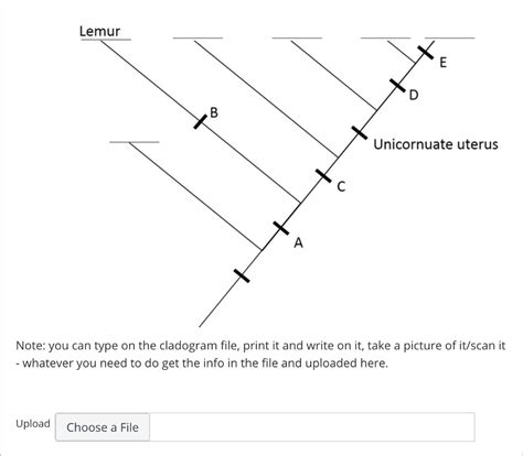 Solved Use The Character Matrix Below To Completely Fill Out