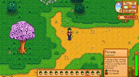 How Long Does It Take For Parsnips To Grow In Stardew Valley The Centurion Report