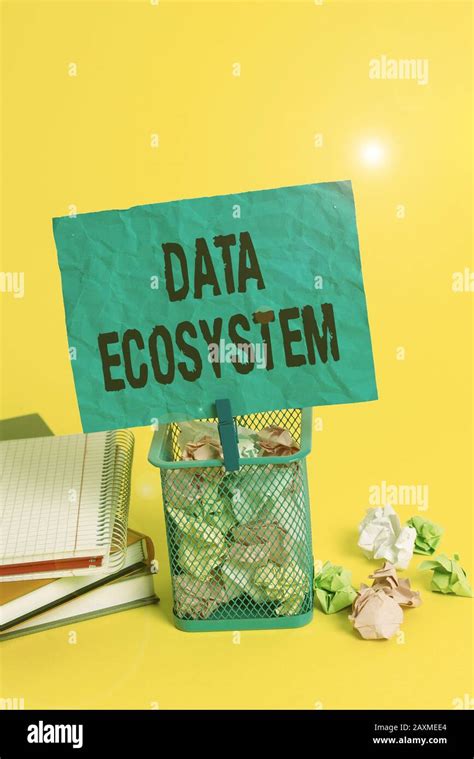 Text Sign Showing Data Ecosystem Business Photo Showcasing Collection Of Infrastructure Used To