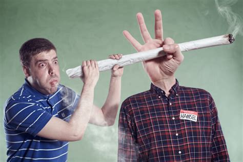 a toke too far how to survive an overwhelming high legalize it we