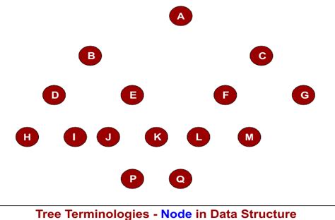 Basic Tree Terminologies In Data Structure Cs Taleem