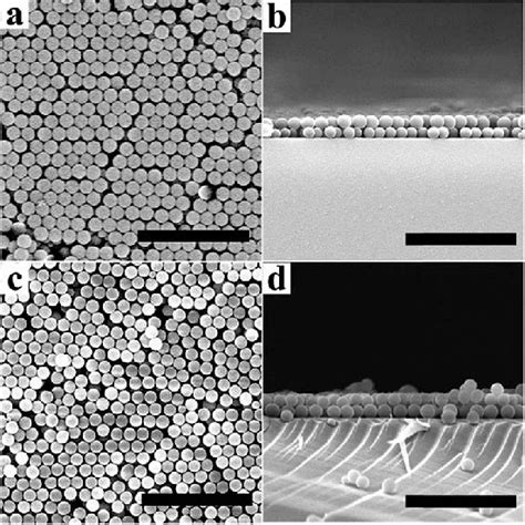 Pdf Two Dimensional Colloidal Crystal Heterostructures