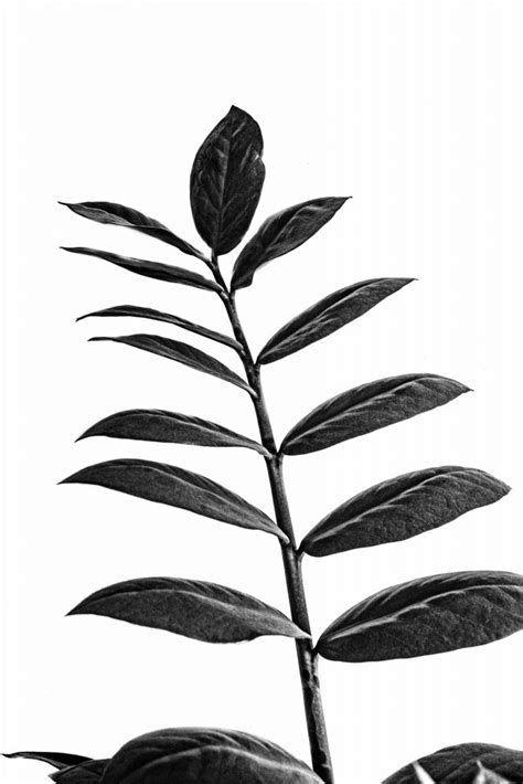 СПЕЦИАЛНОСТИ