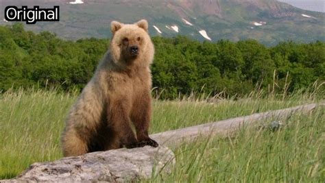 GMIC cest déjà Noël pour les traiteurs dimages LinuxFr org