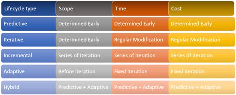 Project Development Life Cycle Delivery Head And Technical Consultant