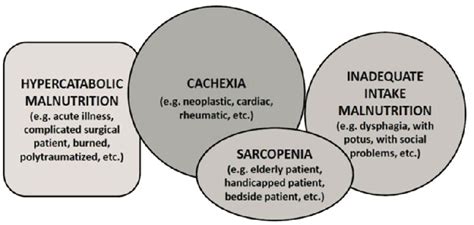 A Schematic Overview Of The Different Types Of Malnutrition Download Scientific Diagram
